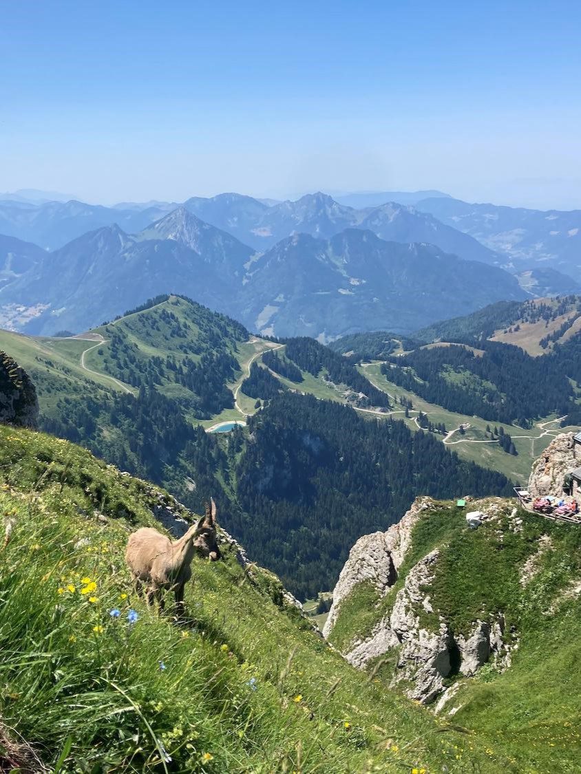 Les vacances d’été dans nos Villages ! - ACTION ENFANCE